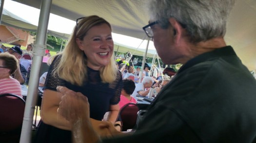 Anna Moeller for Illinois – Focused on solving problems over politics